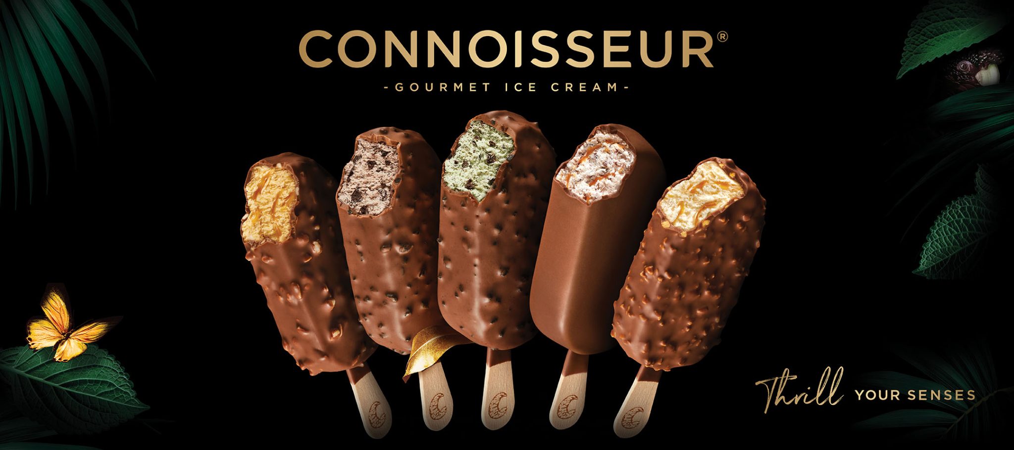 Home - Moonlight Cinema Perth