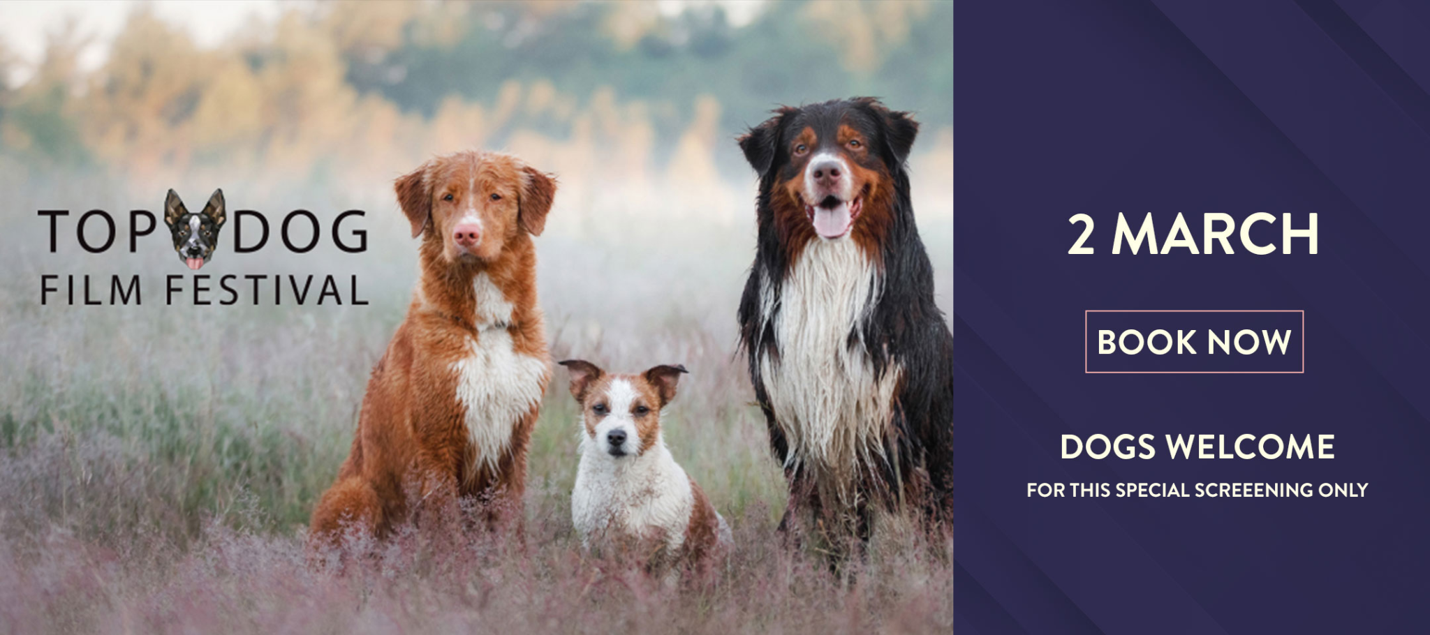 Home - Moonlight Cinema Perth