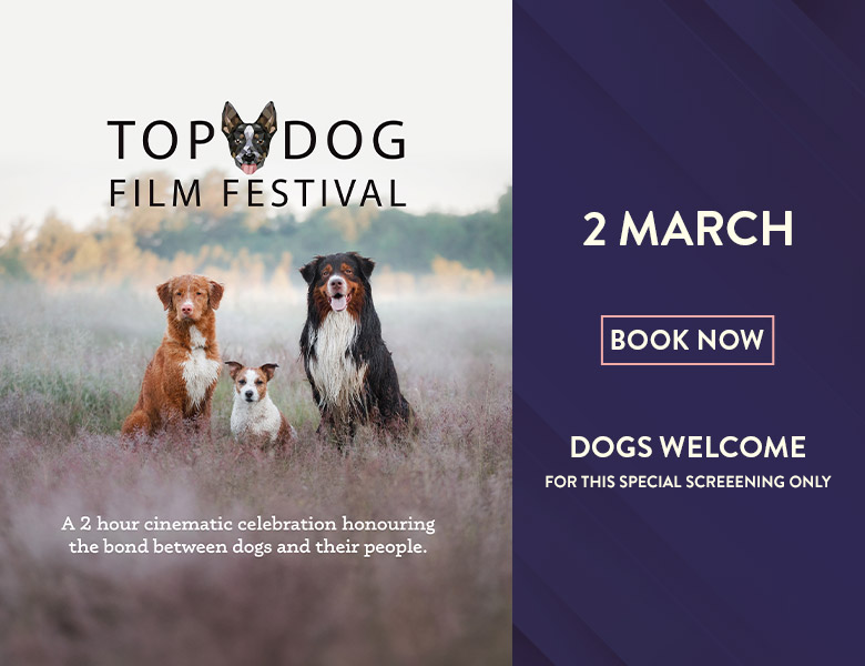 Home - Moonlight Cinema Perth